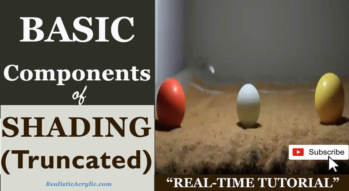 Basic Components of Shading (Truncated) - Realistic Acrylic Portrait School